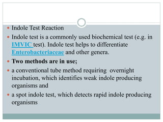 IMViC (Biochemical test) | PPTX