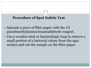 IMViC (Biochemical test) | PPTX