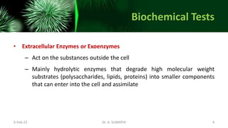 Dr. A. SUMATHI - Pharmaceutical Microbiology - IMViC Tests | PDF
