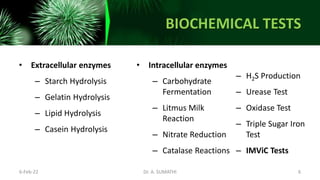 Dr. A. SUMATHI - Pharmaceutical Microbiology - IMViC Tests | PDF