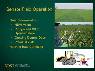 In field crop sensors - 2-27-13 | PPTX