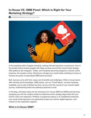 In-House VS SMM Panel Which is Right for Your Marketing Strategy.pdf