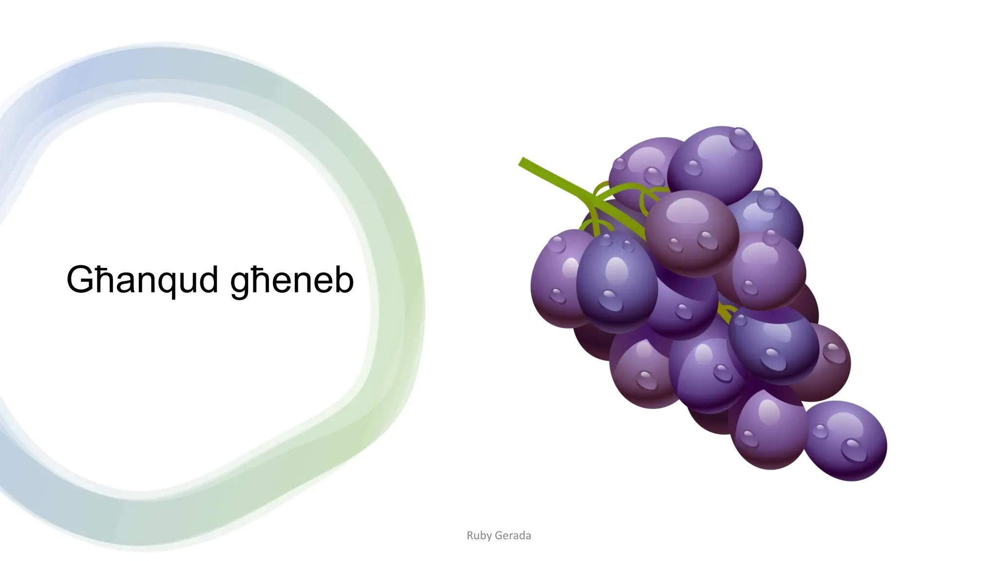 In-Nomi Kollettivi | PDF