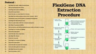 In plant training program | PPTX