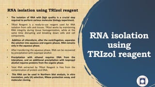 In plant training program | PPT