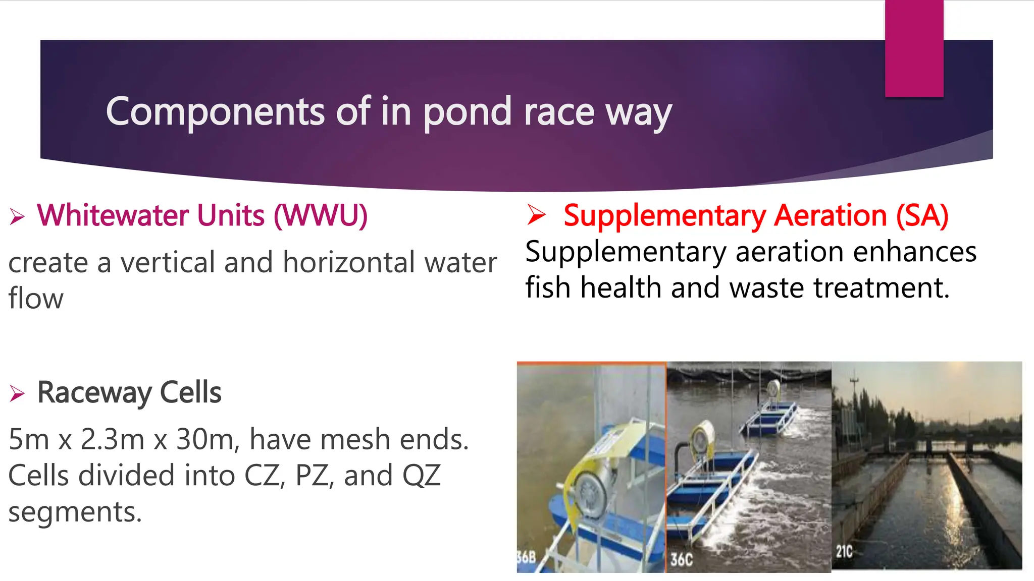 In-pond Race way systems for Aquaculture (IPRS).pptx