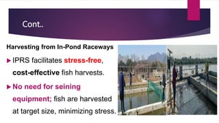 In-pond Race way systems for Aquaculture (IPRS).pptx