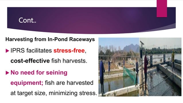 In-pond Race way systems for Aquaculture (IPRS).pptx