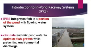 In-pond Race way systems for Aquaculture (IPRS).pptx