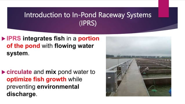 In-pond Race way systems for Aquaculture (IPRS).pptx