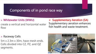 In-pond Race way systems for Aquaculture (IPRS).pptx