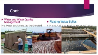 In-pond Race way systems for Aquaculture (IPRS).pptx