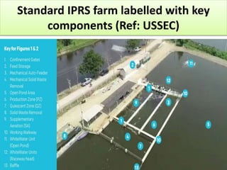 IN-POND RACEWAY SYSTEM IPRS FOR CLIMATE SMART AQUACULTURE by B.pptx