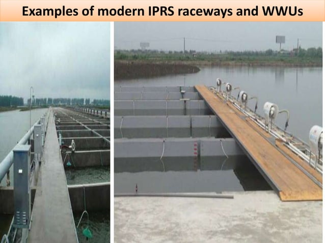 IN-POND RACEWAY SYSTEM IPRS FOR CLIMATE SMART AQUACULTURE by B.pptx