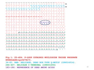 In silico analysis for unknown data | PPTX