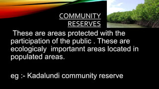 In situ conservation | PPT