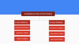 In-Situ Conservation | PPTX