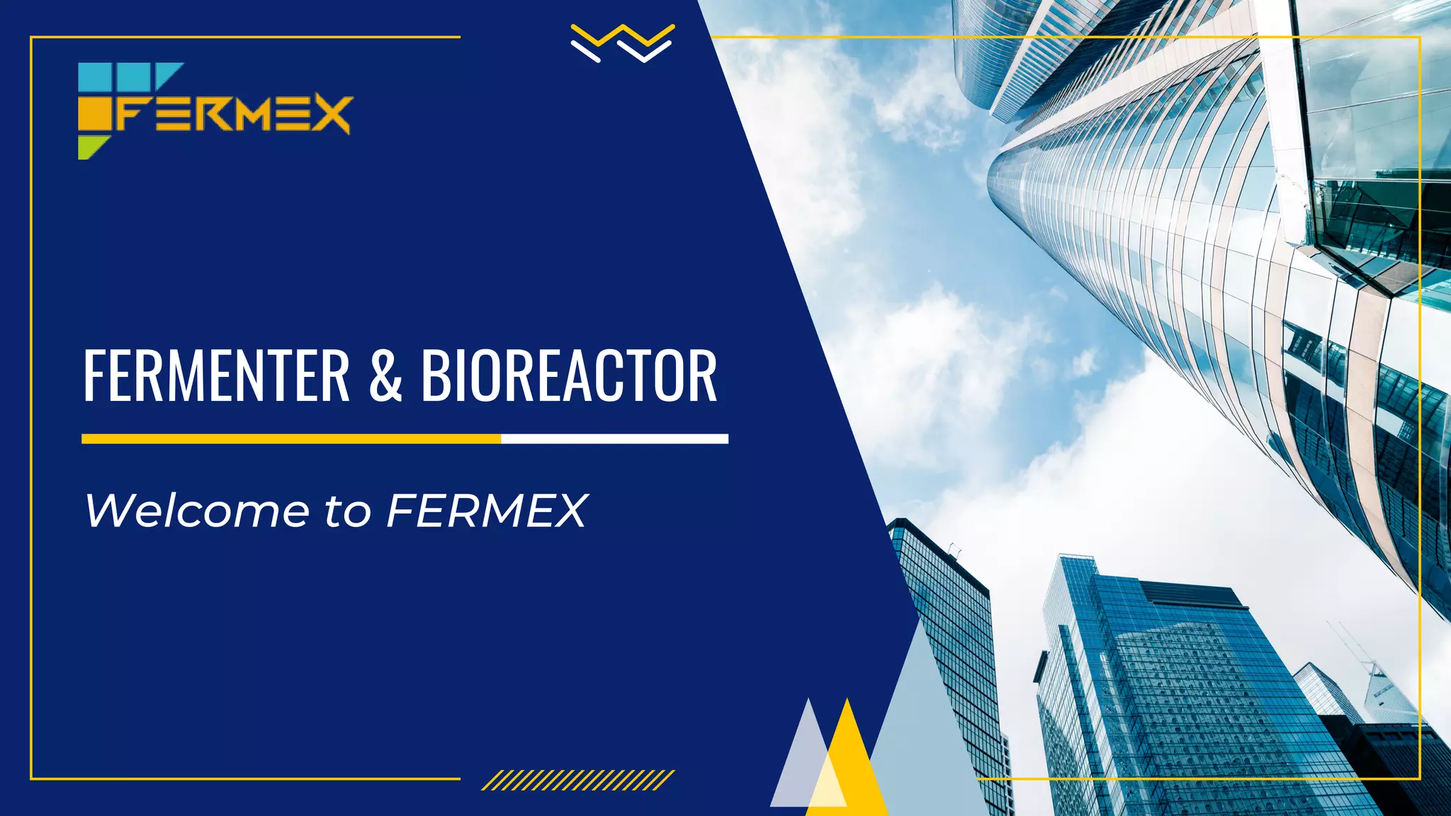 In-Situ Sterilizable Fermenter & Bioreactor Lab Scale.pdf