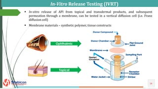 In vitro program | PDF