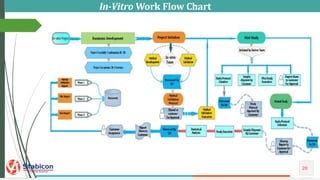 In vitro program | PDF
