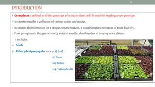 IN-VITRO GERMPLASM CONSERVATION [Autosaved].pptx