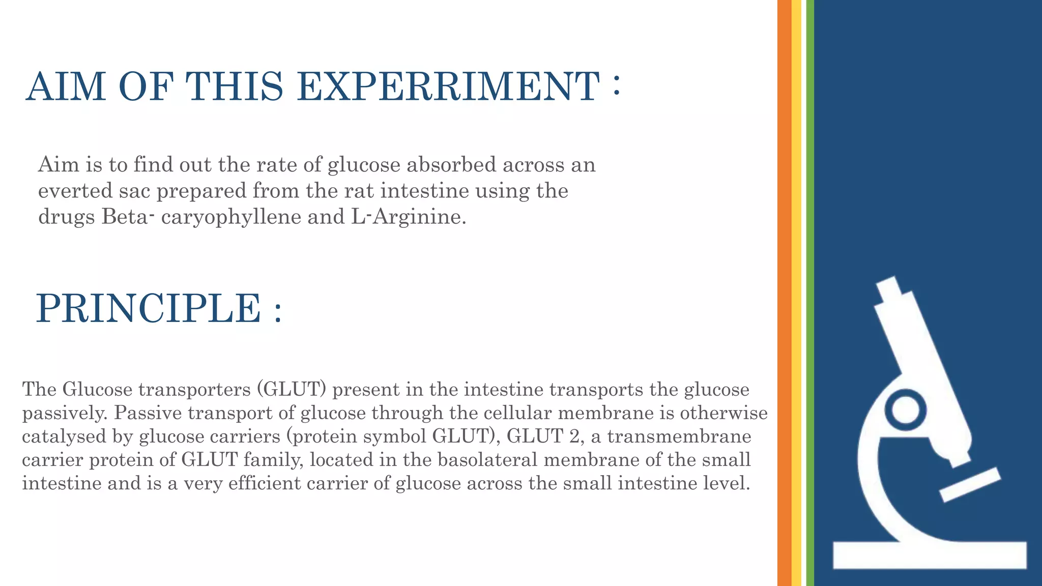 In vitro glucose absorption by everted gut sac method | PPTX