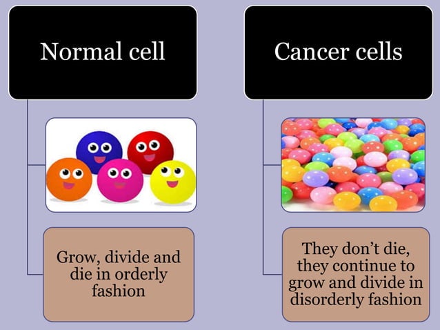 In vitro methods of screening of anticancer agents | PPTX