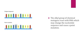 In vitro mutagenesis in Fower crops | PPTX