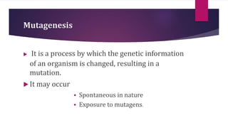 In vitro mutagenesis in Fower crops | PPTX
