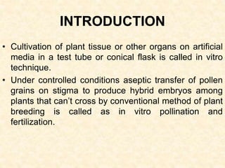 In vitro pollination | PPTX