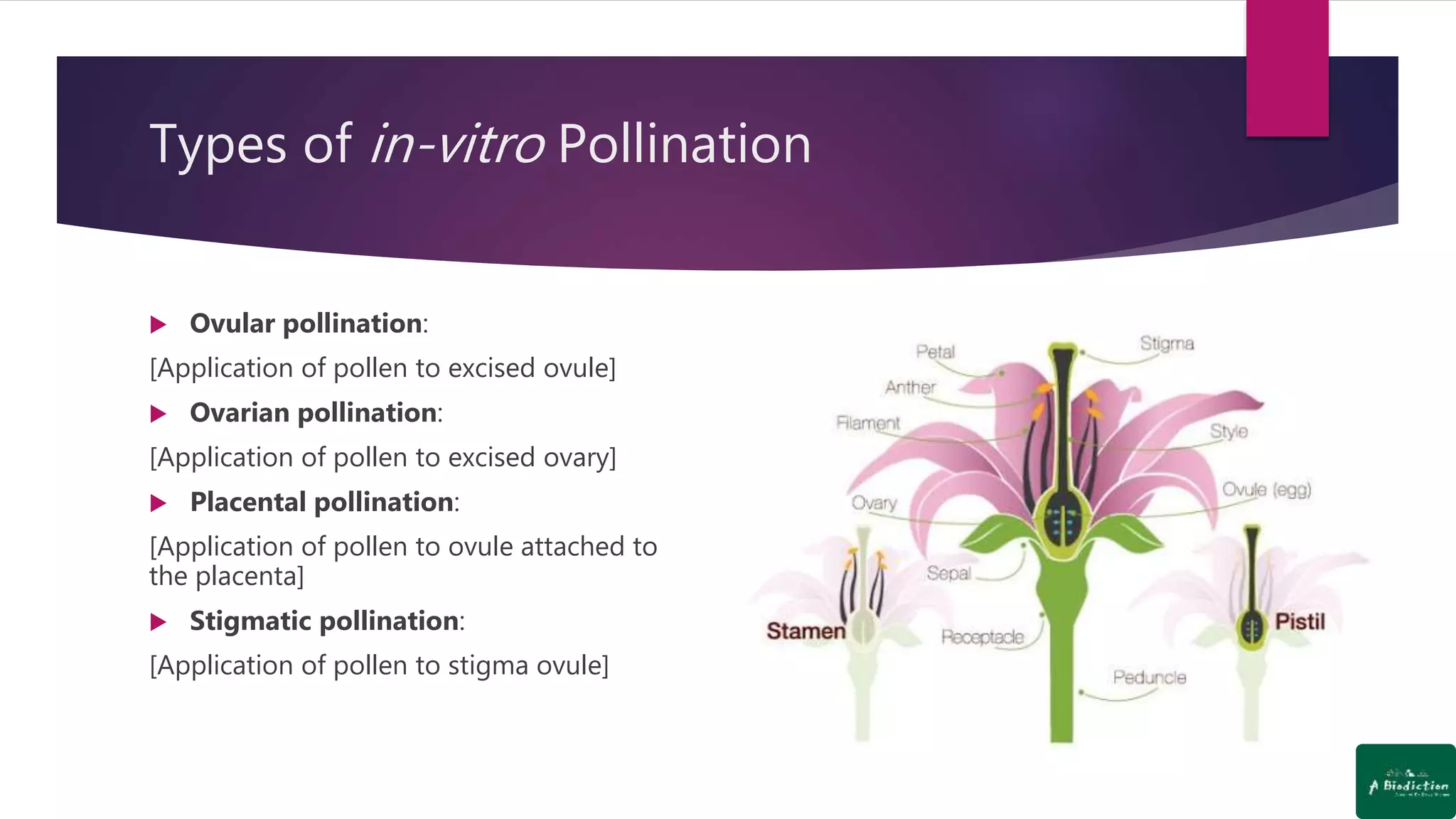 Culture of In-vitro Pollination and Fertilization in Plants | PPTX