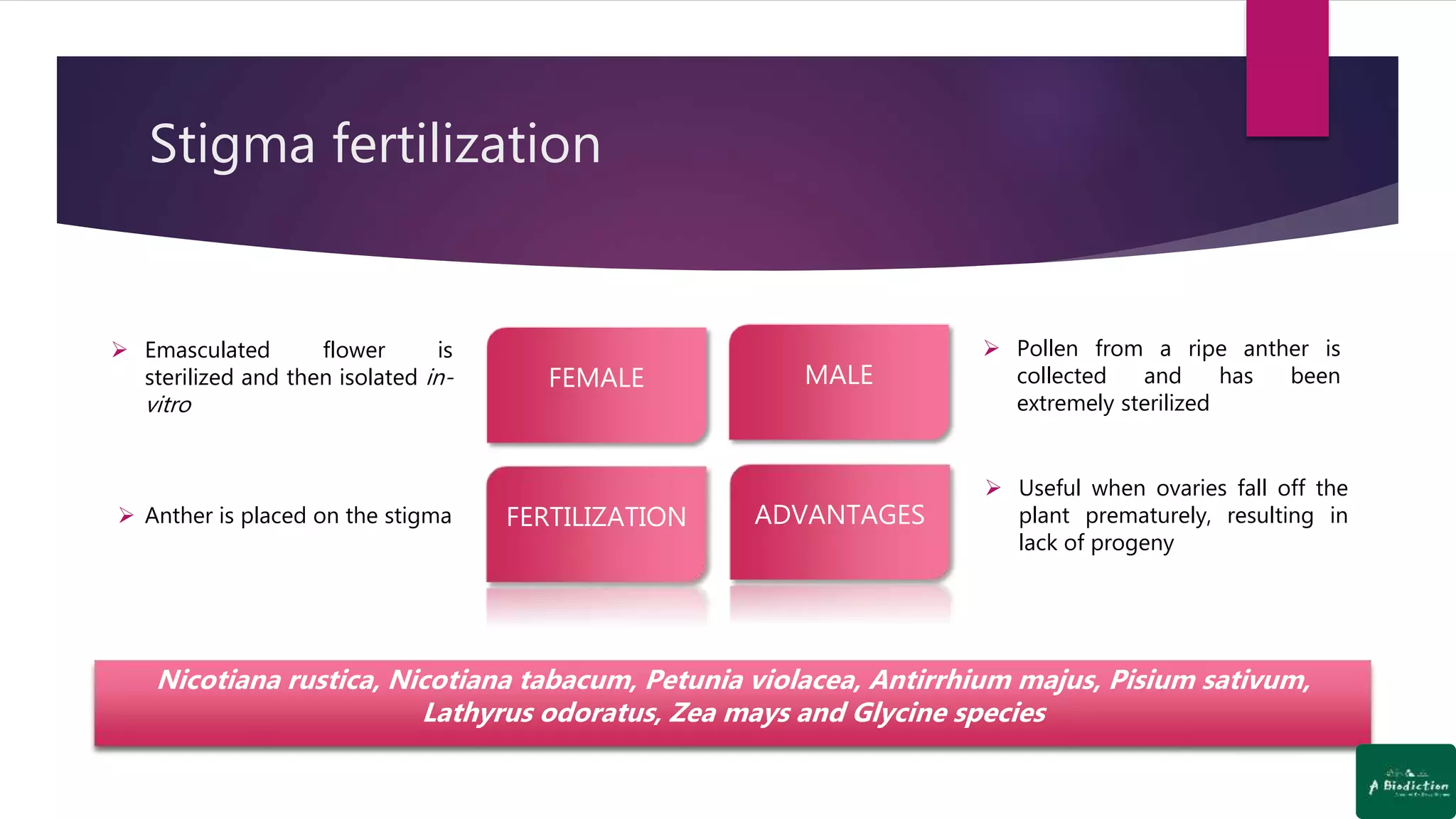 Culture of In-vitro Pollination and Fertilization in Plants | PPTX