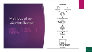 Culture of In-vitro Pollination and Fertilization in Plants | PPTX
