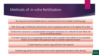 Culture of In-vitro Pollination and Fertilization in Plants | PPTX