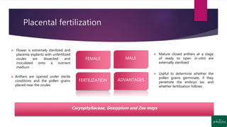 Culture of In-vitro Pollination and Fertilization in Plants | PPTX