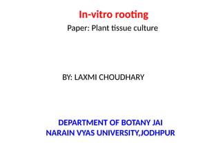 Plant tissue culture- In-vitro Rooting.ppt
