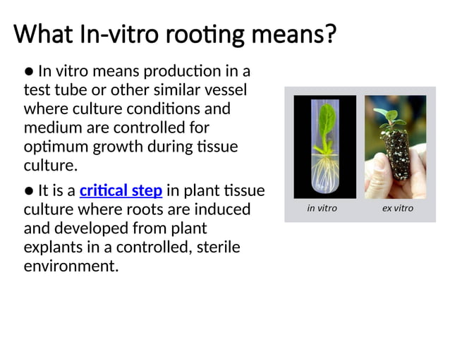 Plant tissue culture- In-vitro Rooting.ppt