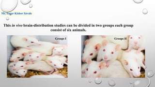In vivo brain-distribution study in rats | PDF