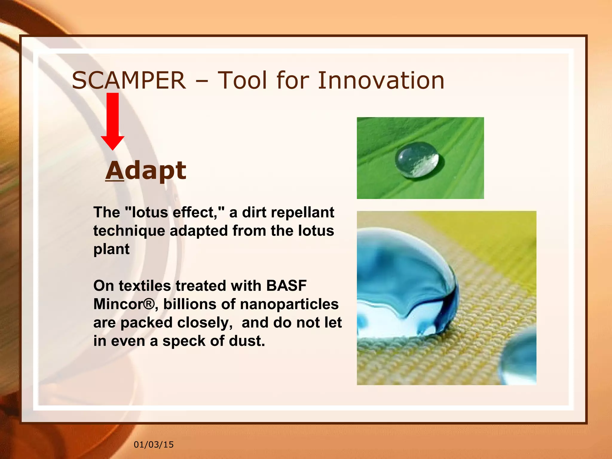 In 02 scamper 1 2015 | PPT