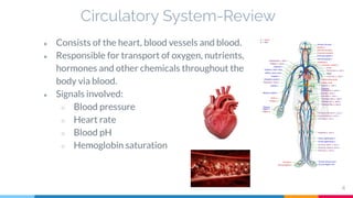 Measurement and Analysis of Physiological Signals in the Human Body | PDF