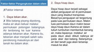 HUBUNGAN_TUMBUHAN_DENGAN_AIR-HUBUNGAN_TUMBUHAN_DENGAN_AIR.pptx