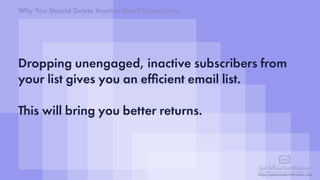 Inactive email subscribers | PDF