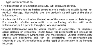 Inﬂammation in the human body (mechanism).pptx