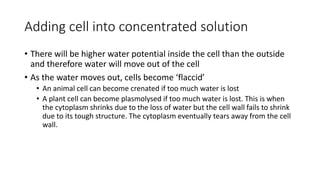 In and out of the cells Cambridge IGCSE Biology | PPTX