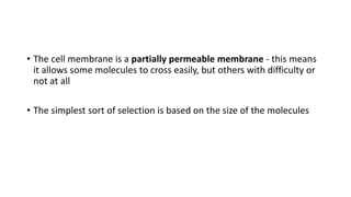 In and out of the cells Cambridge IGCSE Biology | PPTX