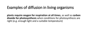 In and out of the cells Cambridge IGCSE Biology | PPTX