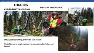 Forestry in Europe | PPT