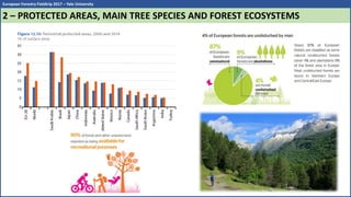 Forestry in Europe | PPTX