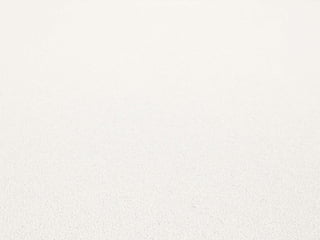 Inappropriate language.pptx