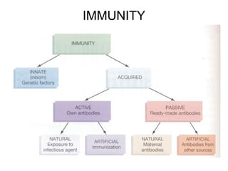 Inate immunity | PPT